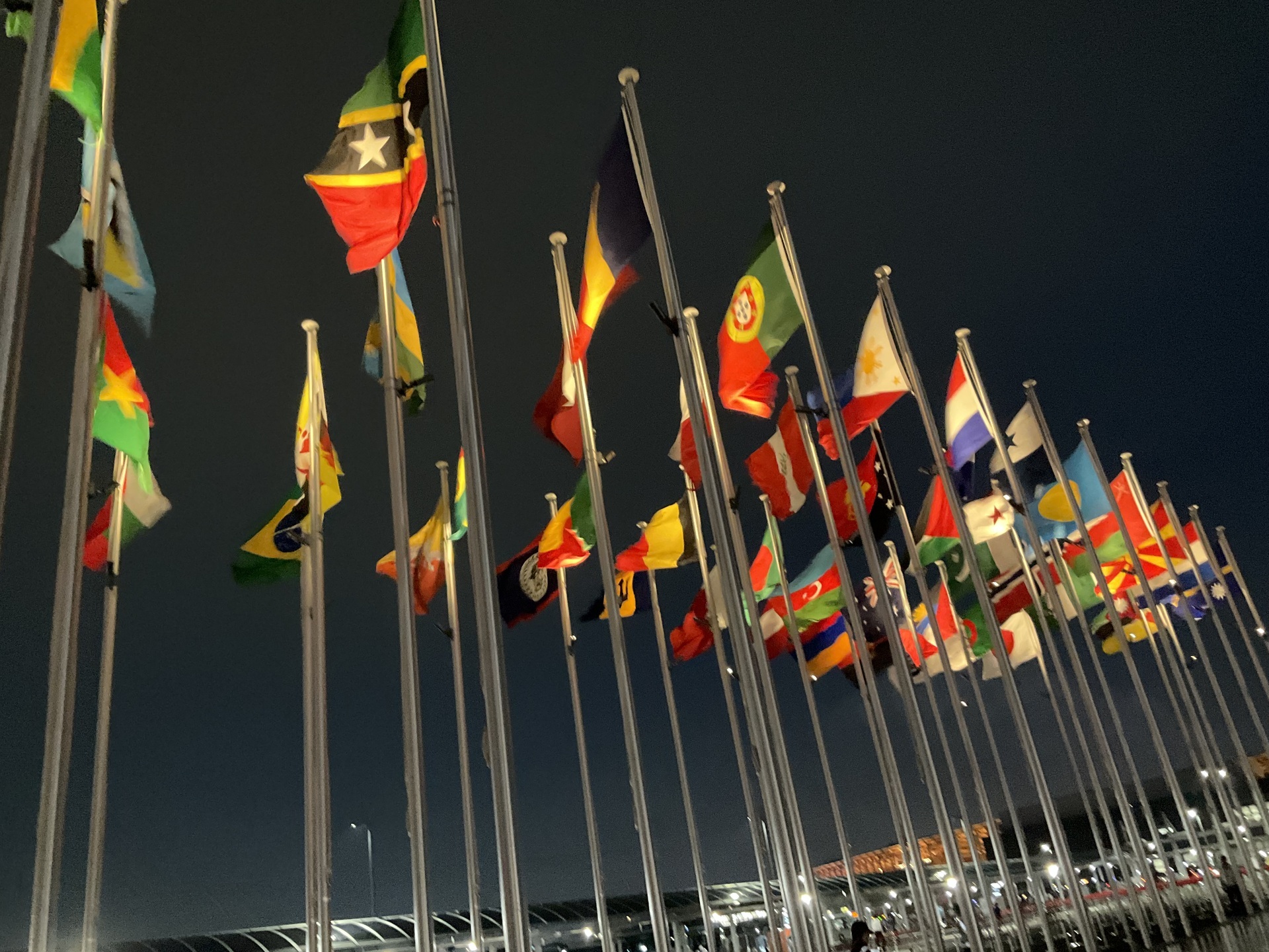 9月の備忘録 万博と世界陸上: 東京西山手白犬 アンジ